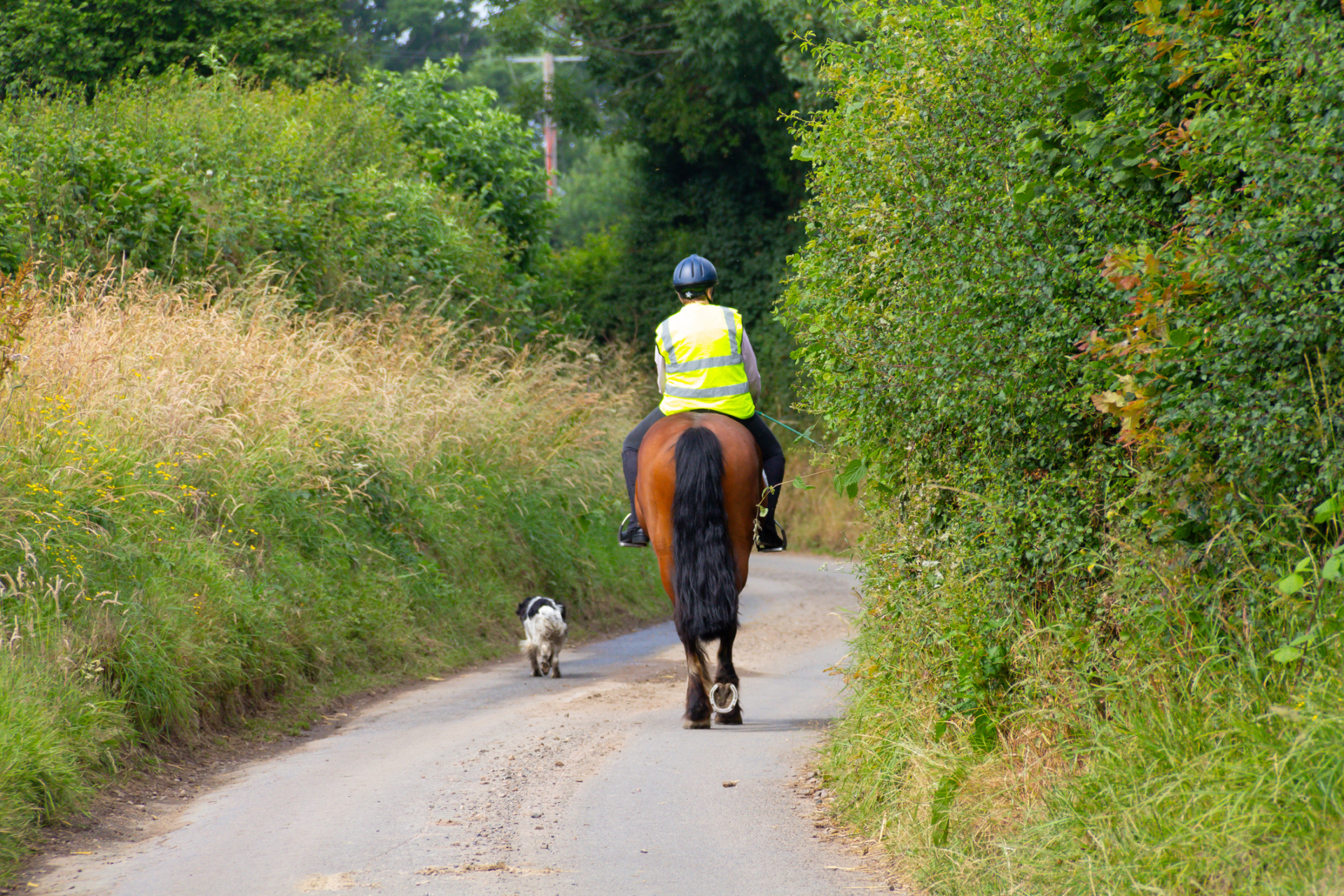 News and Blog - EMD UK